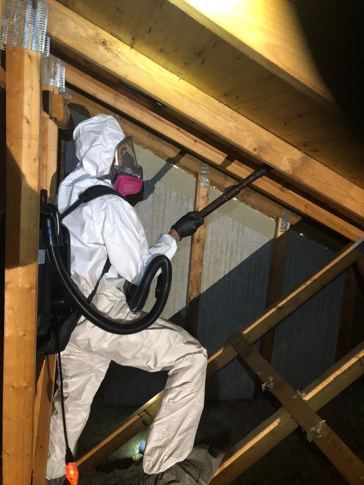Clarkston Attic Mold Remediation - Reliable Restoration Services