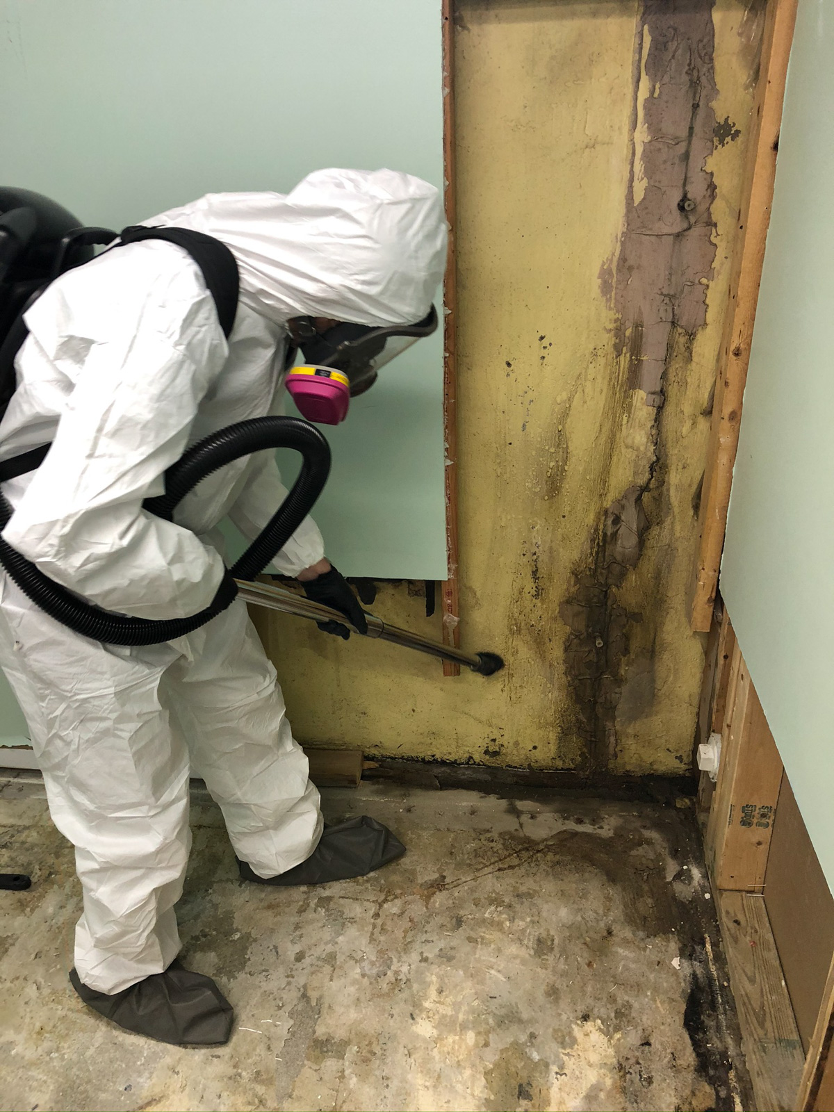 Mold Remediation from Water Damage - Reliable Restoration Services Mold Remediation from Water Damage - Reliable Restoration Services